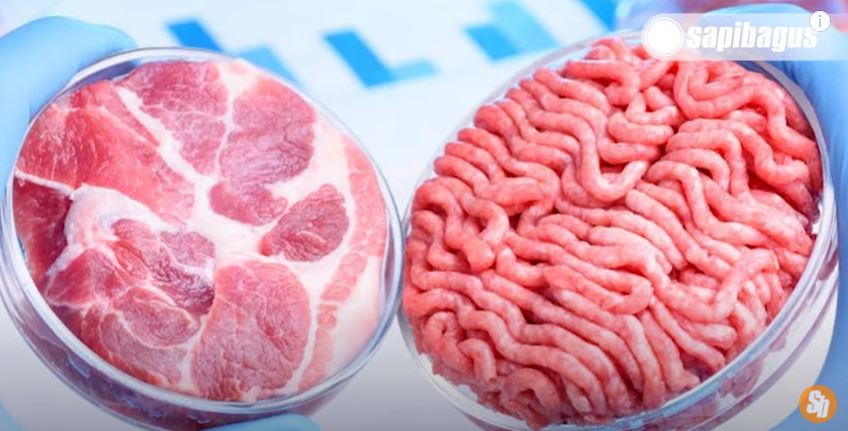 Daging Sintentis Jadi Alternatif Bahan Pangan Ramah Lingkungan - Sketsa.co